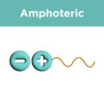 Putting The FACT In SurFACTants: Classifications | Locus Ingredients