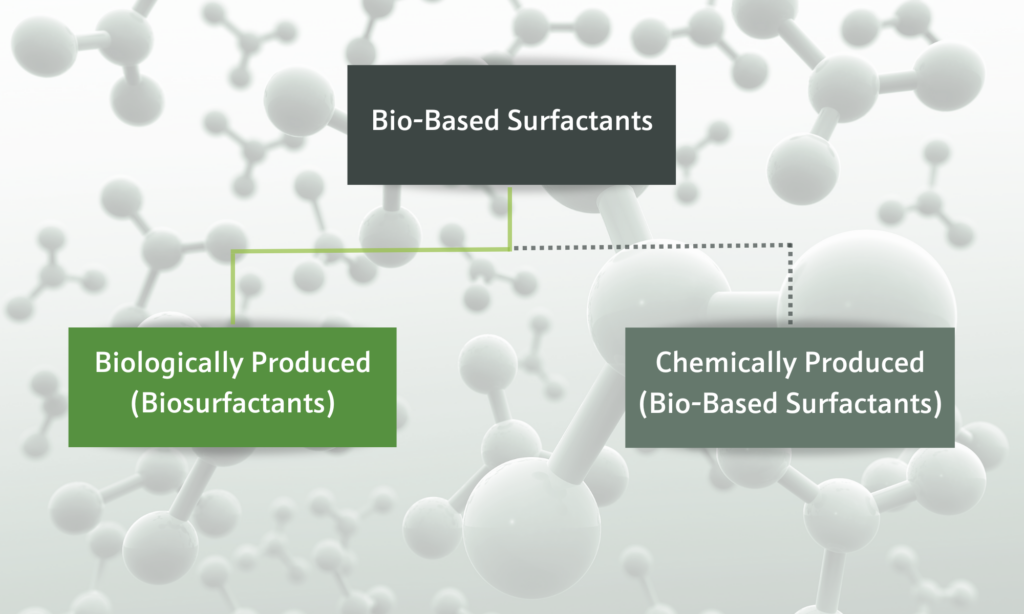Bio-Based Surfactants Vs Biosurfactants: Which Are Superior?