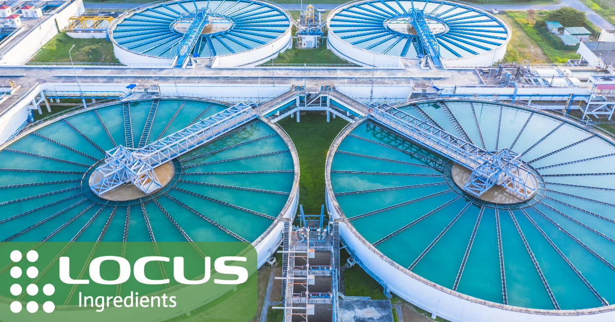 PFAS Forever Chemicals: What You Need To Know